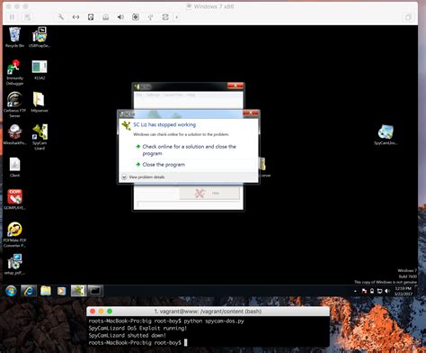 SpyCamLizard 1 230 Denial Of Service Windows Dos Exploit