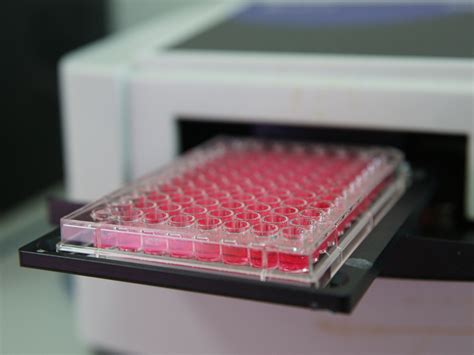 How To Get The Best Out Of Your Microplate Reader Labcompare