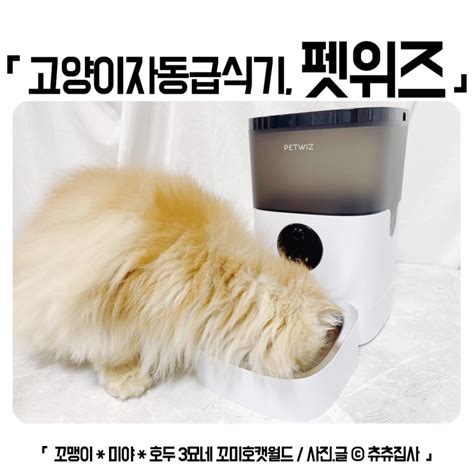 고양이자동급식기 펫위즈 스마트홈캠자동급식기 네이버 블로그 고양이자동급식기 펫위즈 스마트홈캠자동급식기 네이버 블로그