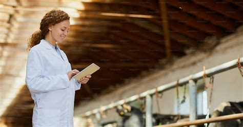 소의 디스사제에 대한 정보를 검색하는 터치패드를 가진 젊은 여성 농부 사진 Unsplash의 실험실 코트 이미지