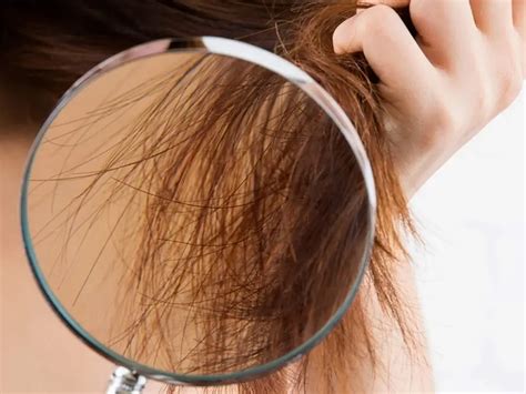 Kruset Hår Sådan Slipper Du Af Med Frizz én Gang For Alle