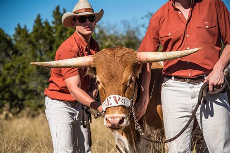 Bevo Xv Austin Fit Magazine Inspiring Austin Residents To Be Fit