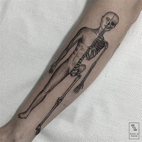 Half Skeleton Half Human Drawing