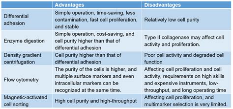 Isolation Of Mouse Bone Marrow Derived Mesenchymal Stem Cells Cd Bioparticles