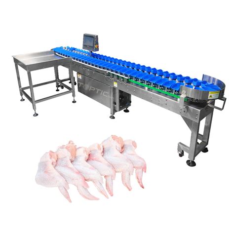 Automatic Weight Grading Machine Sorting Machine Sorting Machinery Weight Classifier Weight
