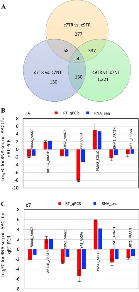 A Venn Diagram Illustrating Overlap Of The Three Transcriptomic