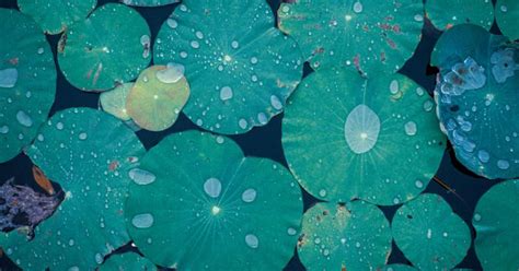 Dhiraj Patra On Linkedin Aws Step Functions Introduces Versions And Aliases For Enhanced