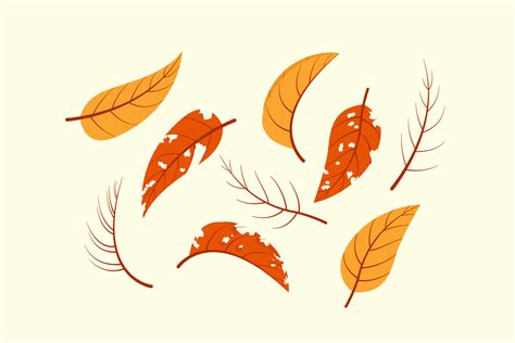 Leaf Illustration Design Withered Leaf Illustration 21919257 Vector