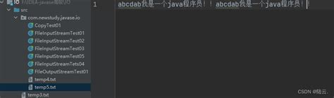 java基础进阶io流 fileoutputstream输出流 极客之音