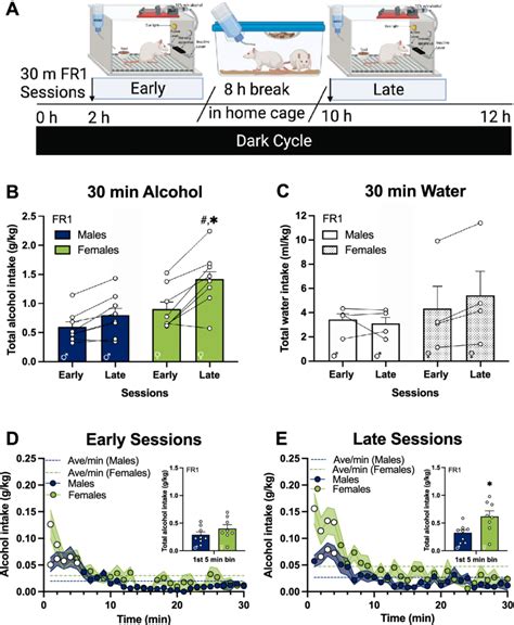 Front Loading Behavior Drives Sex Differences In Alcohol Intake On Download Scientific Diagram