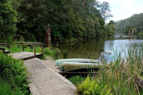 Things To Do At Lake Elizabeth And Forrest In The Otway Ranges