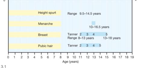 Paediatric Gynaecology And Disorders Of Sex Development Flashcards