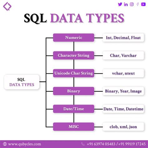 Qubycles On Linkedin Sqldatatypes Databasemagic Qubycles Programming Programmers Future