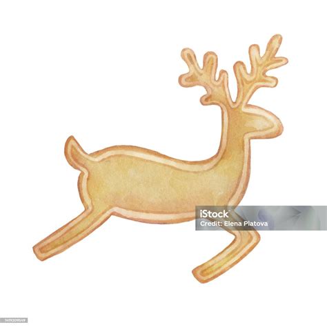 수채화 진저 브레드 사슴 쿠키 크리스마스의 그림 상징 흰색 배경에 고립 된 손으로 그린 휴일 그림 순록 또는 엘크 12월에 대한 스톡 벡터 아트 및 기타 이미지 Istock