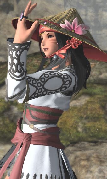 Sakura Eorzea Collection