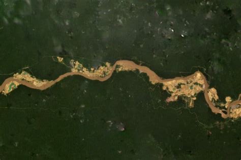 Illegal Gold Mining Drives Deforestation In Drc Reserve Home To