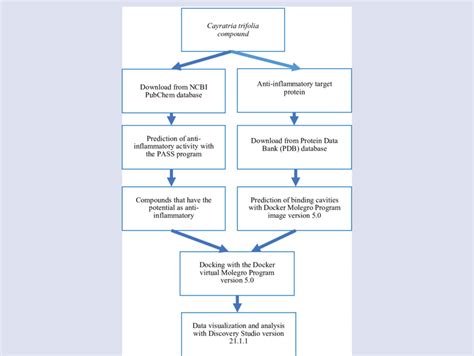 In Silico Analysis Flowchart Download Scientific Diagram