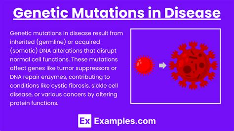 Genetic Mutations Notes And Practice Questions Mcat Examples