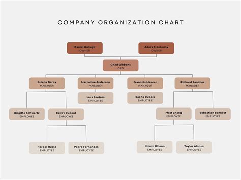 Organisational Structure Diagram Template 40 Organizational