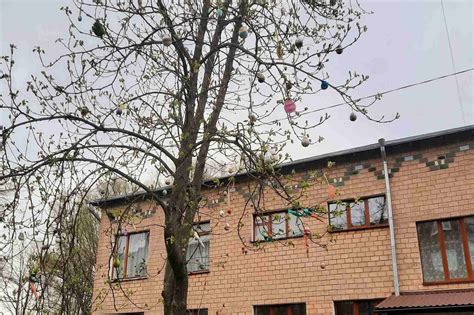 Біля Ніжинської хореографічної школи «розквітло великоднє дерево Фотофакт Читайте на Ukr Net