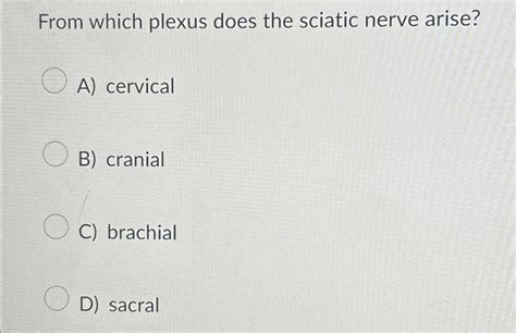 Solved From Which Plexus Does The Sciatic Nerve Arisea
