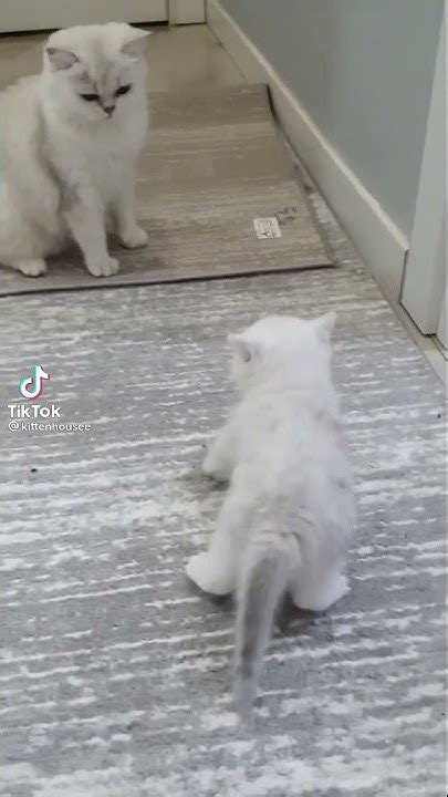 Не смей кричать на маму Youtube