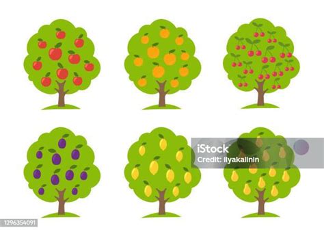 一套不同的果樹檸檬和橙蘋果櫻桃梨李果園收穫向量插圖向量圖形及更多蘋果樹圖片 蘋果樹 果園 卡通 Istock
