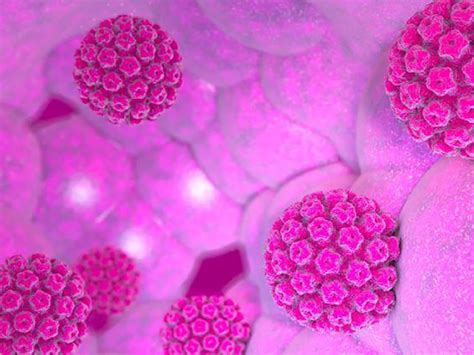 Quien Transmite El Virus Del Papiloma Humano