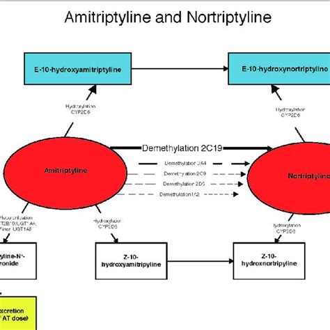 Metabolism Flowchart For Amitriptyline And Nortriptyline Including Download Scientific Diagram