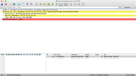 Libpcapsendapacketc · Network Packet Programming 網路封包程式設計