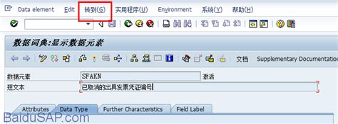 Sap各种翻译汇总 摆渡sap