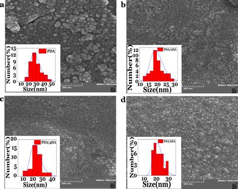 The Sem Image And Particle Size Distribution Of A Pda B Pda2ha Download Scientific