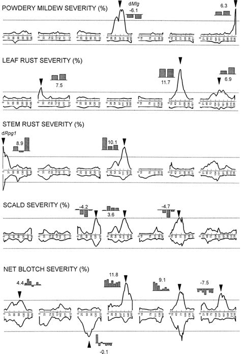 Scans Of A Test Statistic For Simple Interval Mapping For Qtl Main
