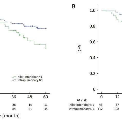 Survival Curves Of Patients With Hilar Interlobar And Intrapulmonary
