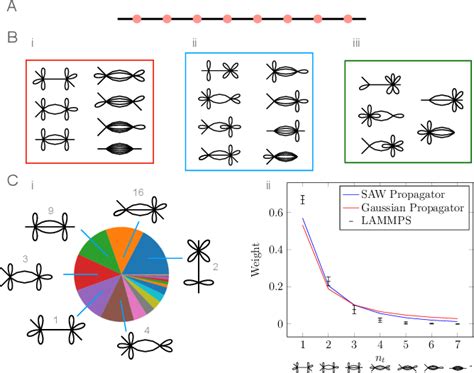 Figure 2 From Topological Spectra And Entropy Of Chromatin Loop Networks Semantic Scholar