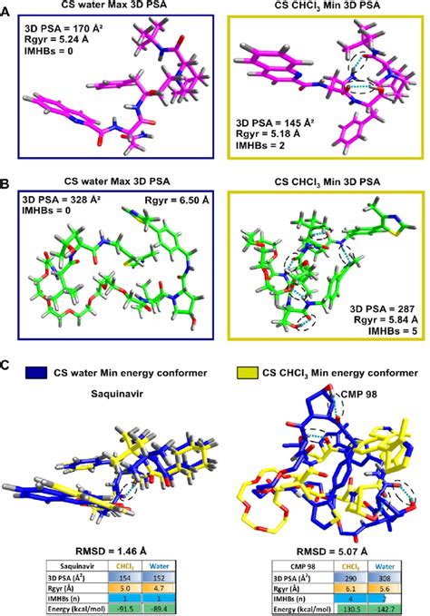 Conformational Sampling Conformers Selection Imhbs Are Depicted By