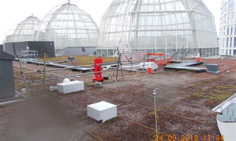 5 Common Causes Of Timber Decay H R