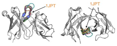 Structural Predictions For Ten Designed 1jpt Cdr H3 Loops Compared