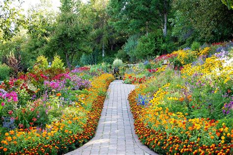 The Prettiest Places To See Flower Fields And Cherry Blossoms This Spring Artofit
