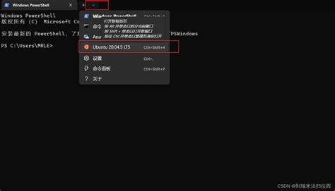 win10 wsl2 ubuntu图像化界面安装和配置 wsl ubuntu图形界面 csdn博客