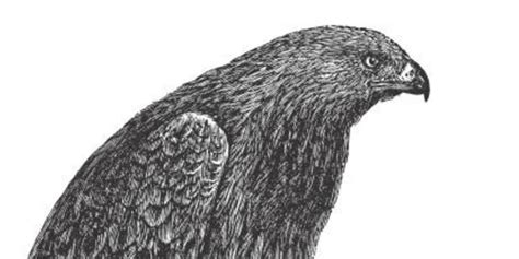 Data Analysis With Open Source Tools Product Information And Latest Updates 2025 Product Hunt