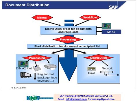 SAP Document Management System DMS PLM PDF