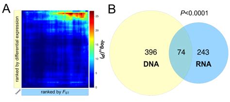 Overlap Between Genomic And Transcriptomic Candidate Loci Associated Download Scientific