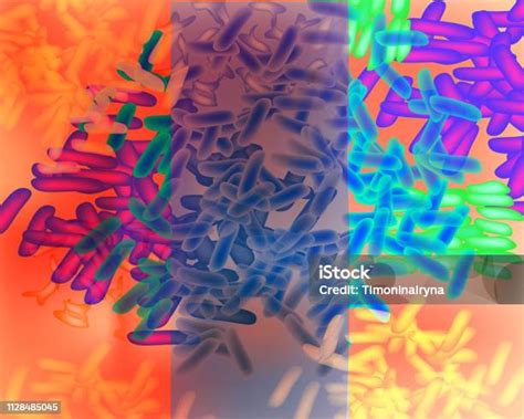 좋은 박테리아 식물 콜론 배경입니다 Probiotic Prebiotic Synbiotic 유산 균 Bifidobacterium 인포 그래픽입니다 벡터 일러스트입니다 클로스