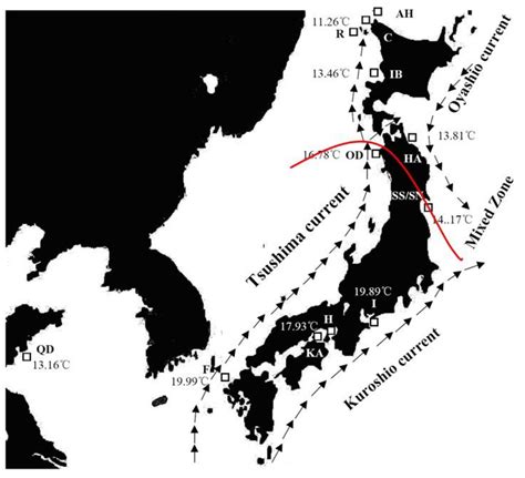Assessing The Speciation Of A Cold Water Species Japanese Sand Lance