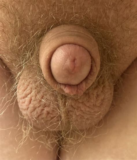 Repost My Penis Tinydickmatt