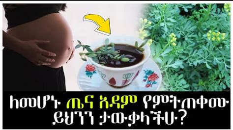 Health Benefits Of Tena Adam Addis Go