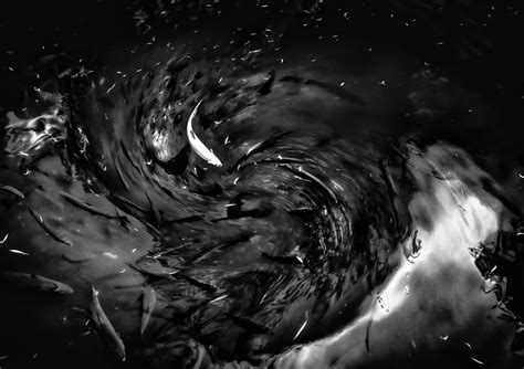 Josip Miskovic The Independent Photographer