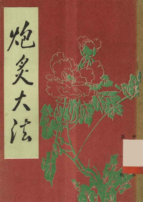 炮炙大法PDF电子书下载 新叶医学网