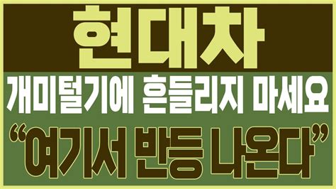 현대차 주가전망 🚨단독🚨 개미털기에 흔들리지 마세요 🔥🔥🔥 여기서 반등 나온다” 🔥 기아 기아차 저pbr 전기차 Youtube